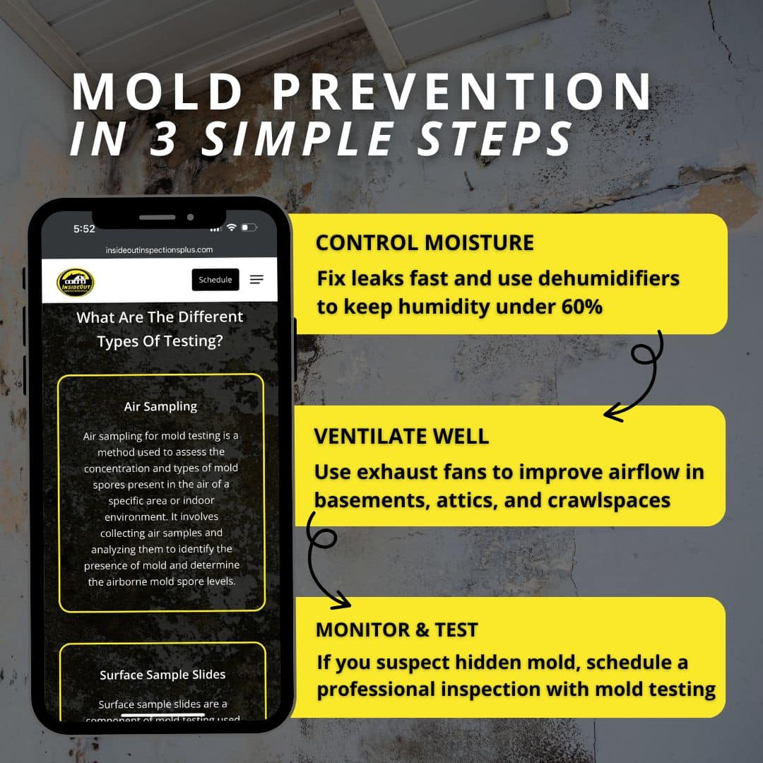 Does Mold Always Cause a Smell Inside a Home? | InsideOut Inspections Plus